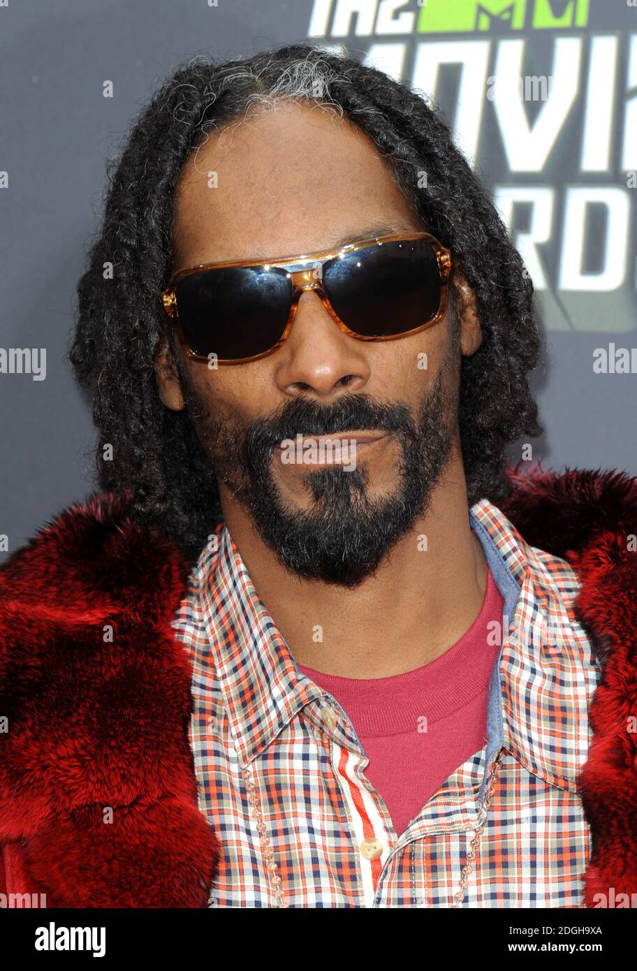 Snoop Lion Animorphs