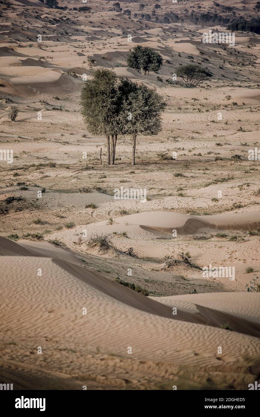 Al ras khaimah hi-res stock photography and images - Alamy