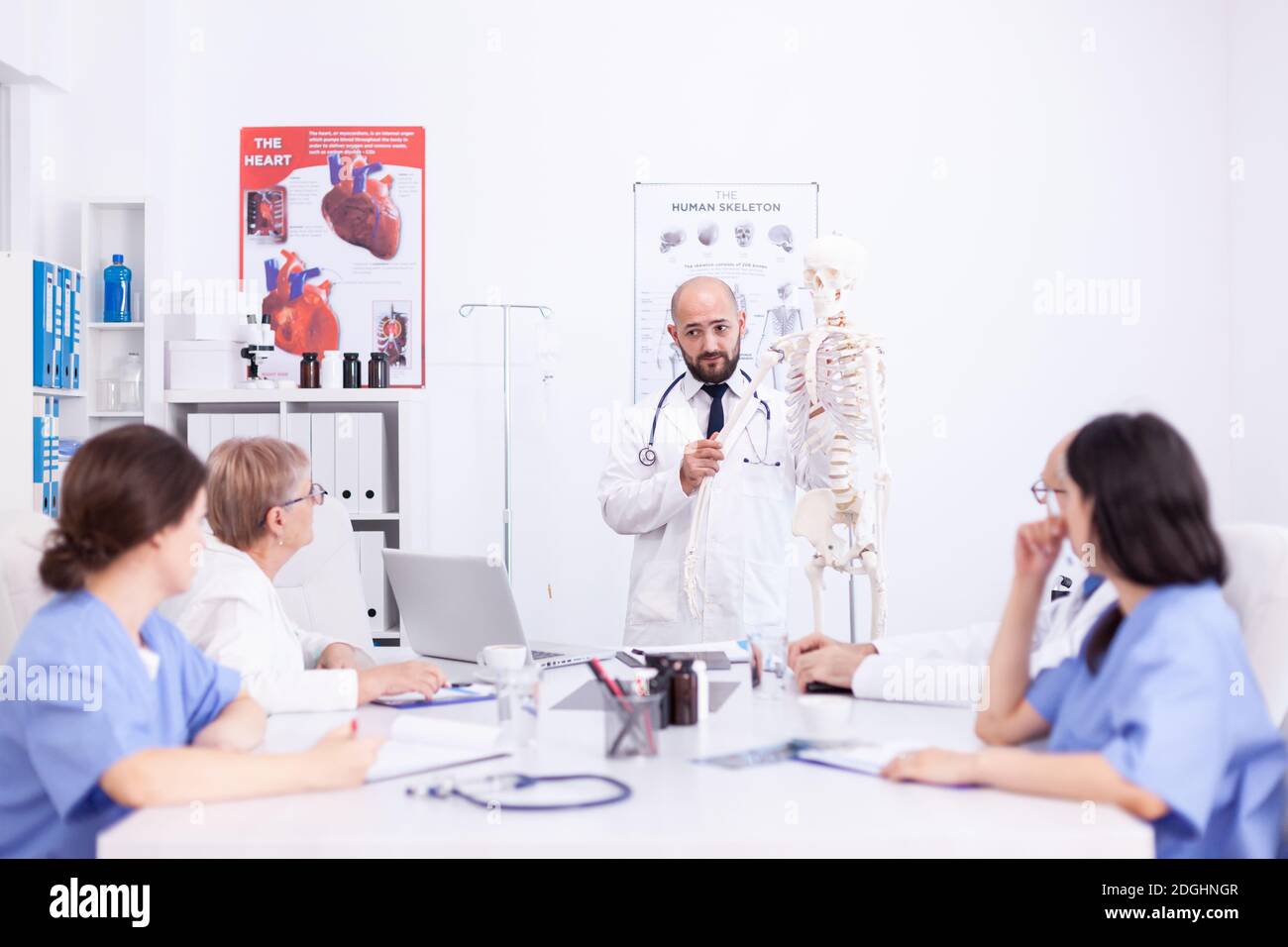 Expert radiologist demonstrating on skeleton during briefing with ...