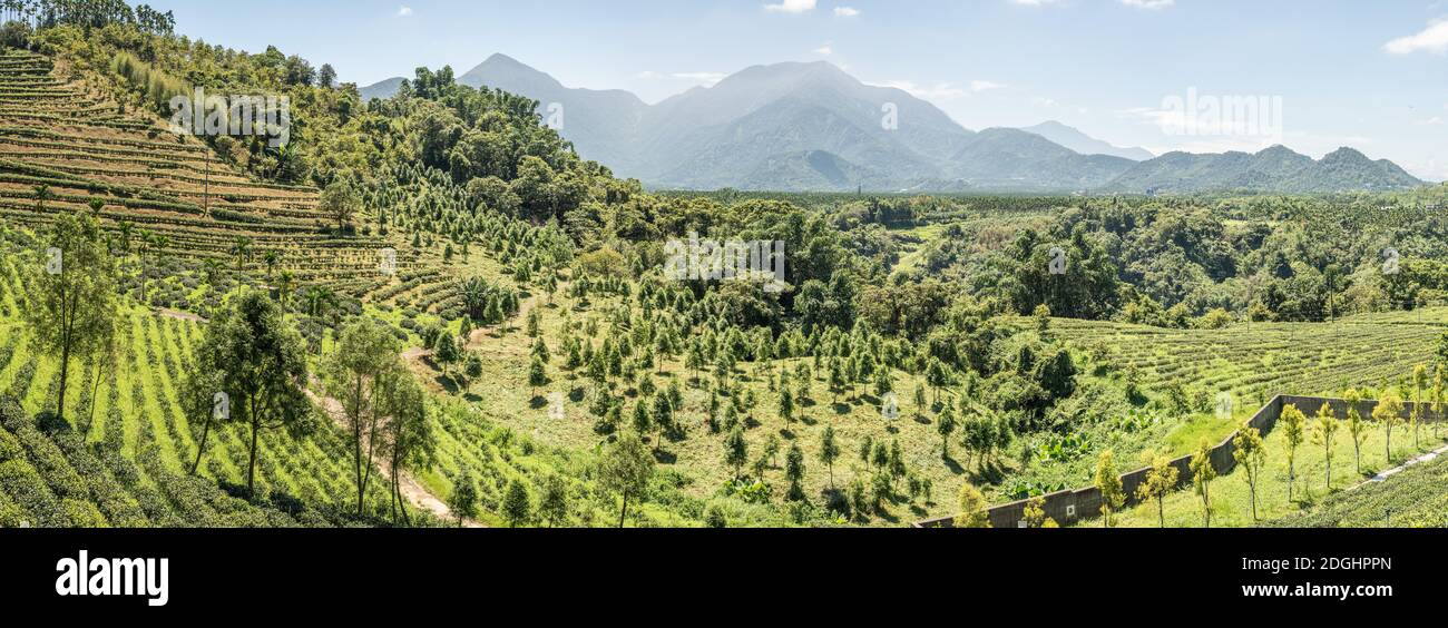 Yuchi hi-res stock photography and images - Alamy