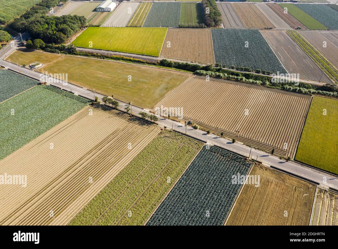 Colorful farm with vegetables and rice Stock Photo - Alamy