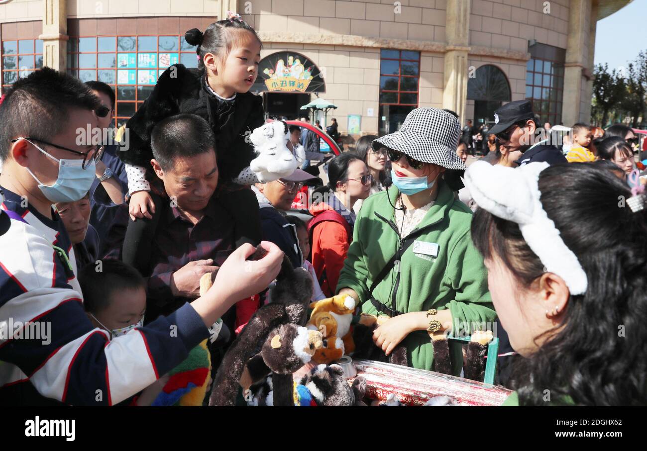 A zoo uses three groups of animal anchors to sell animal dolls ...