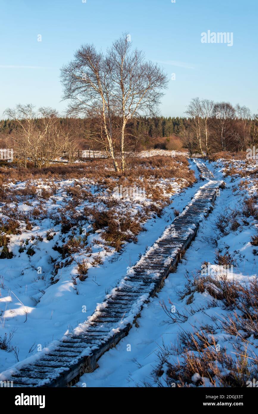 Fens plateau hi-res stock photography and images - Alamy