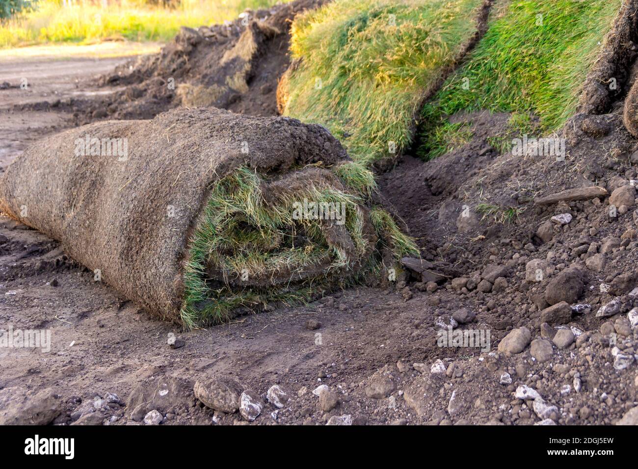pieces of old used turf lawn lie in a heap mixed with removed black ...