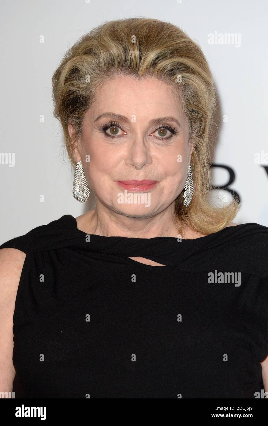 Catherine Deneuve attending the amfAR Gala, Hotel Du Cap, Antibes, part ...