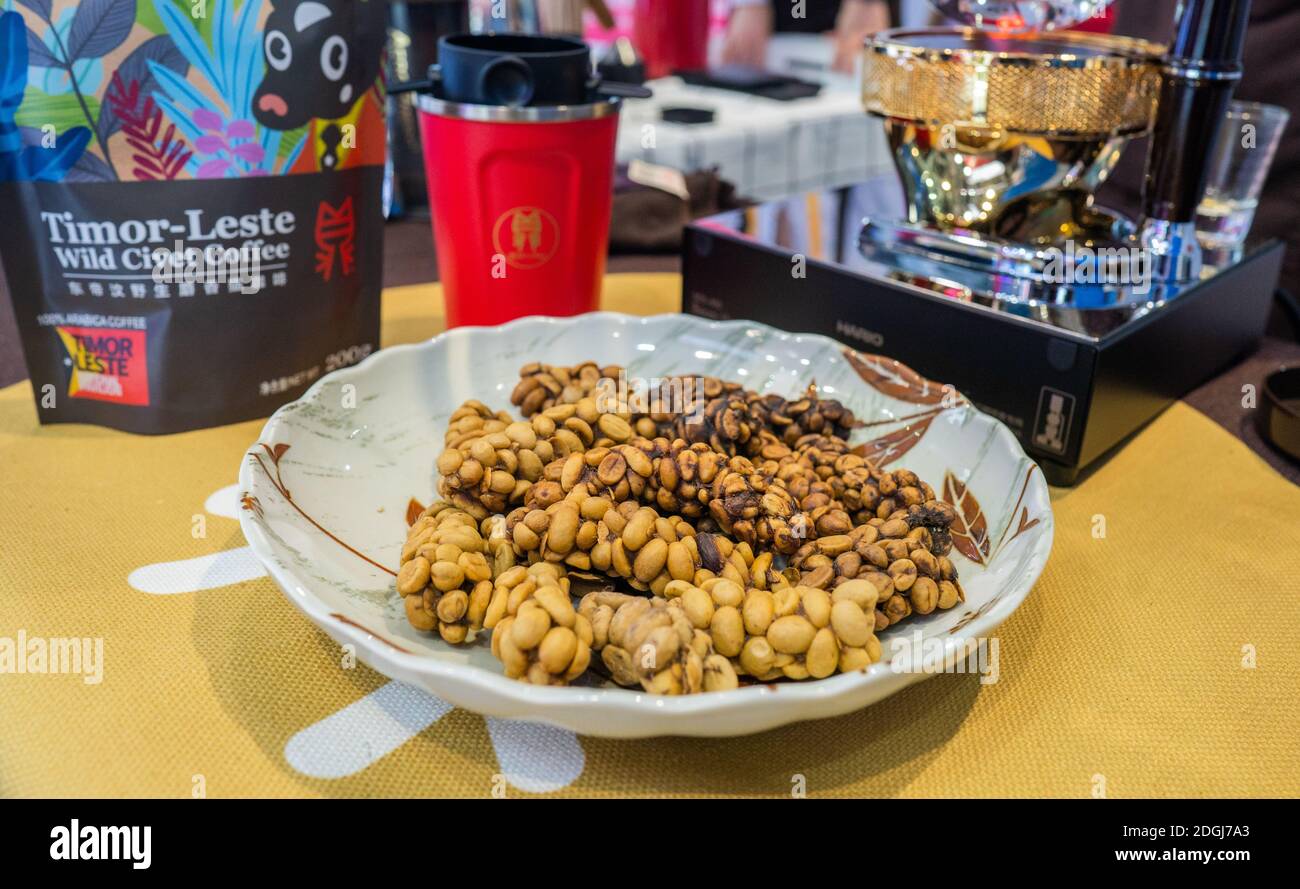 The civet coffee from Timor Leste is being exhibited at the CIIE in ...