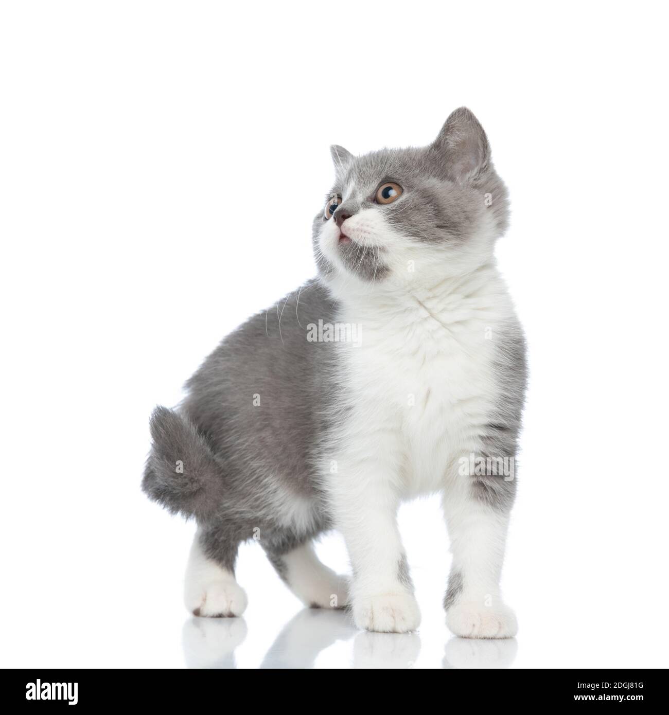 Overhead air to a Cut Out Stock Images & Pictures - Alamy