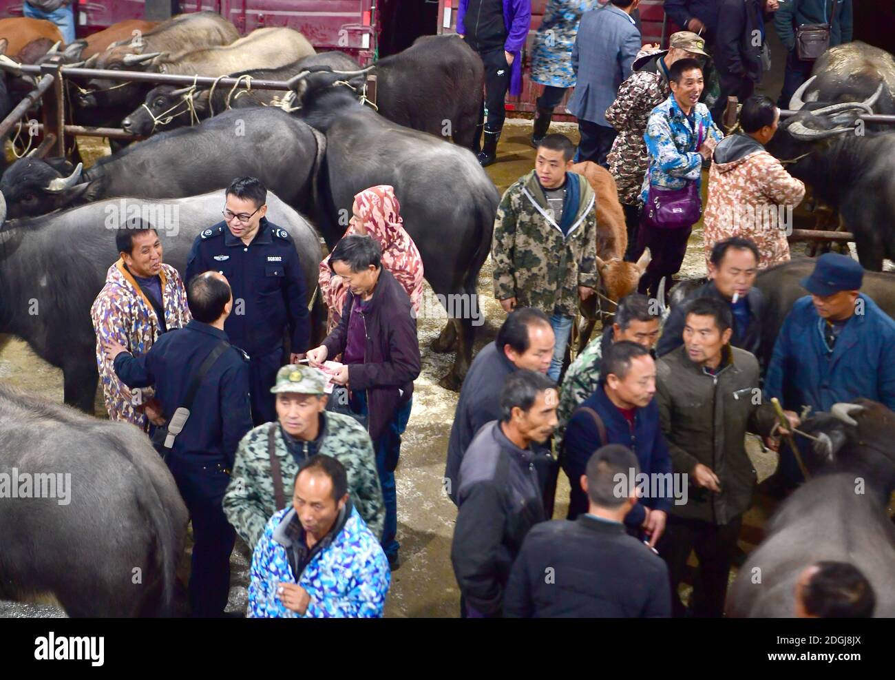 A courtyard in the Qing Dynasty named the Qin Family is well-preserved ...