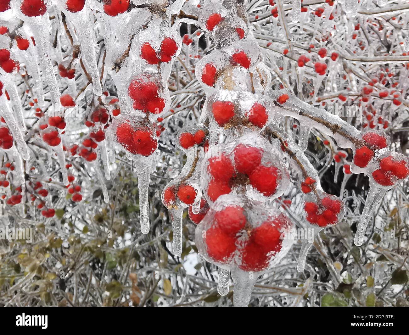 Changchun city encounters extreme weather with rain and snow cooling ...