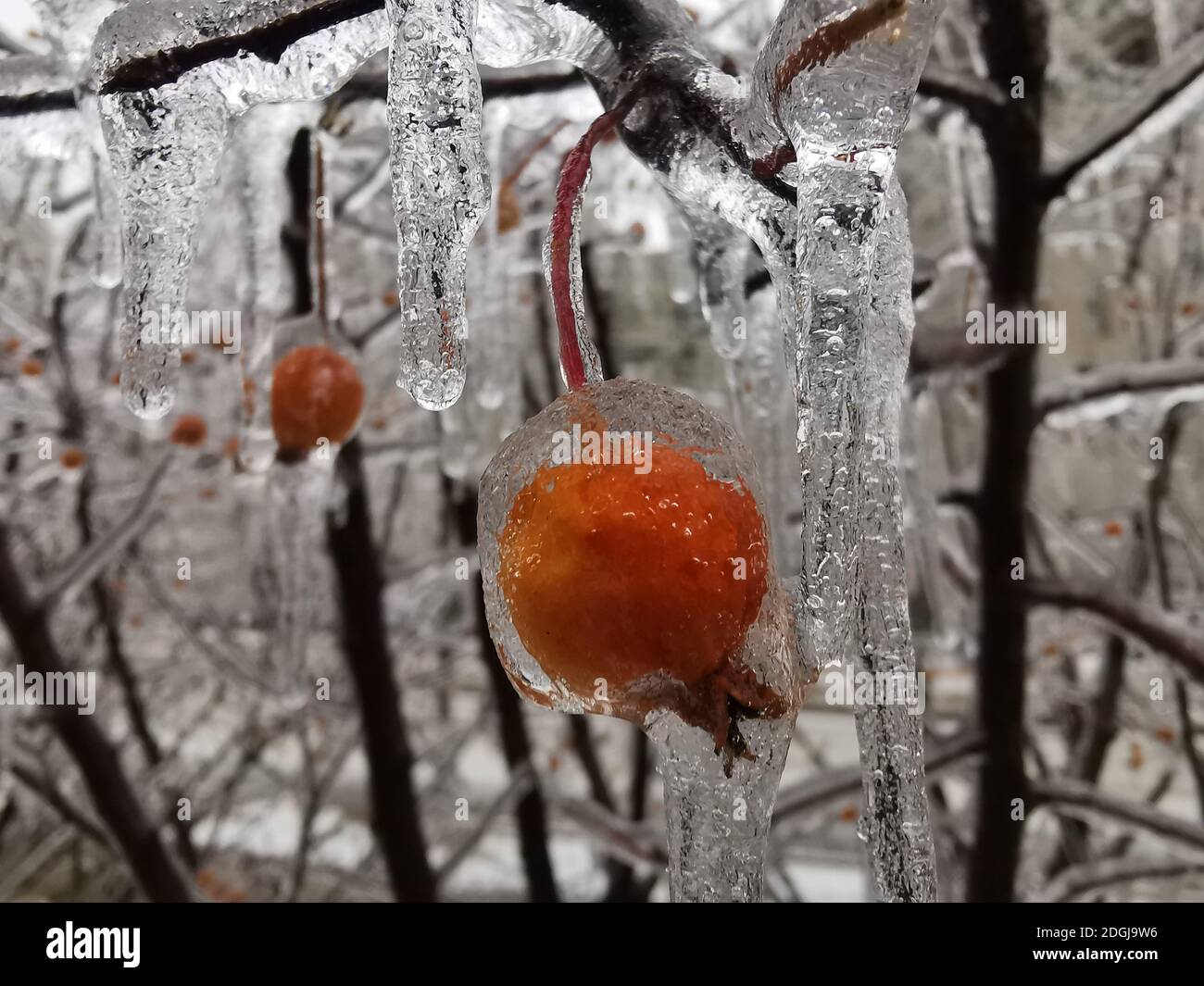 Changchun city encounters extreme weather with rain and snow cooling ...