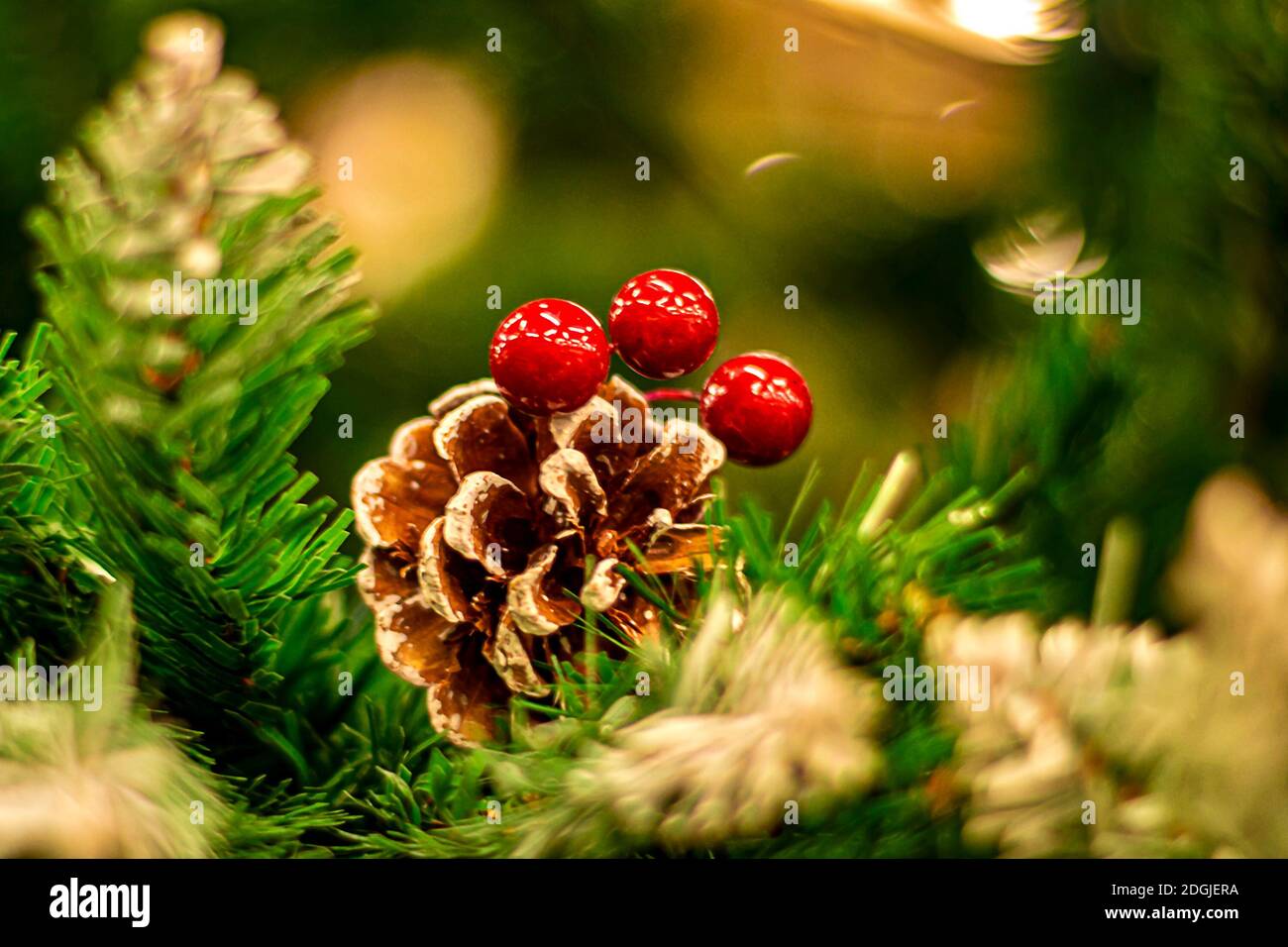 Bump on the tree hi-res stock photography and images - Alamy