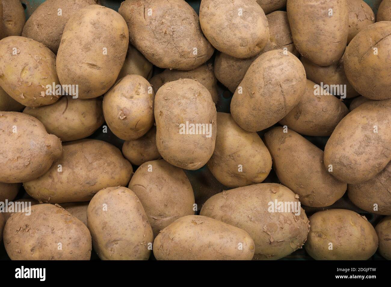 Fresh raw unpeeled potatoes at the market Stock Photo - Alamy