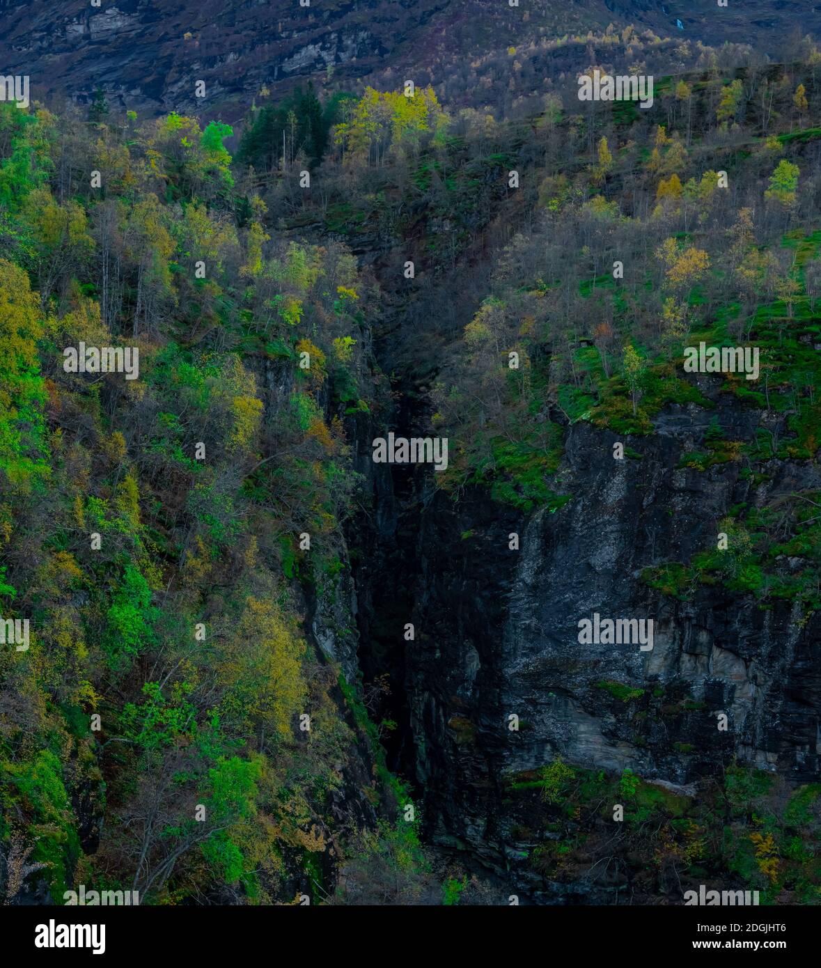 Deep and narrow gorge in a mountain side with lush green vegetation on ...