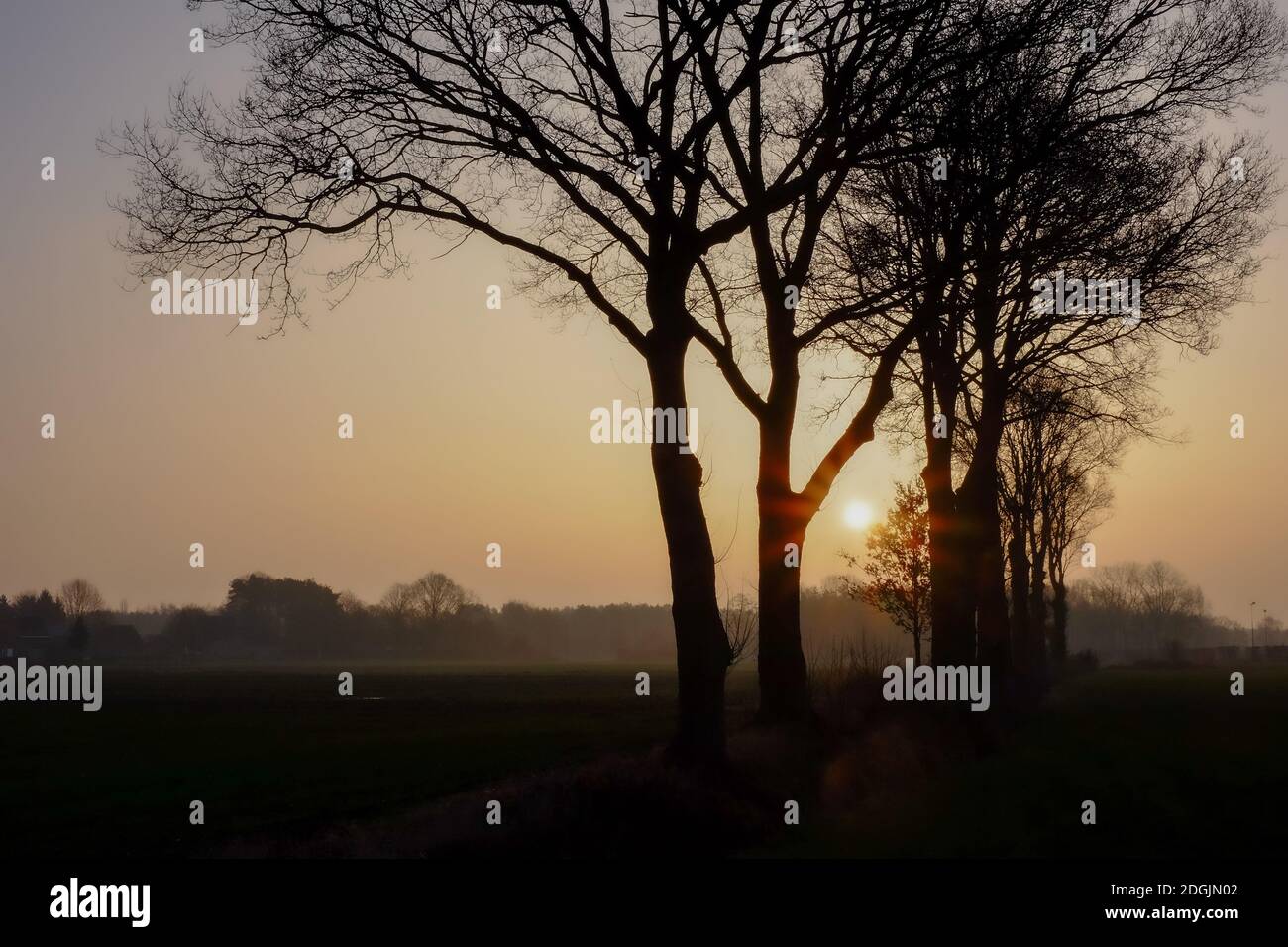Dawn sunrise horizon farm hi-res stock photography and images - Alamy
