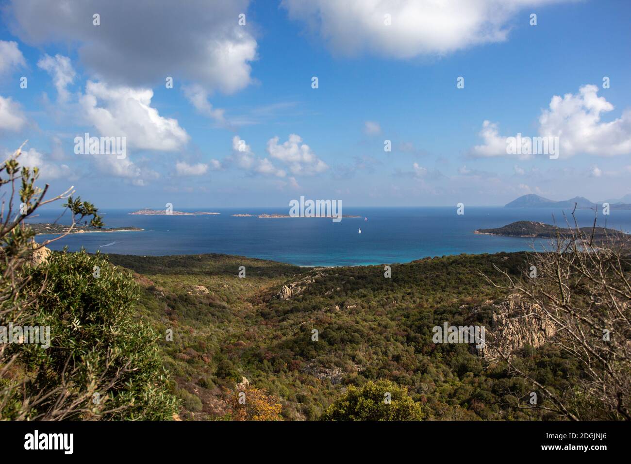 An aerial shot of a coastal landscape covered with trees and islets at ...