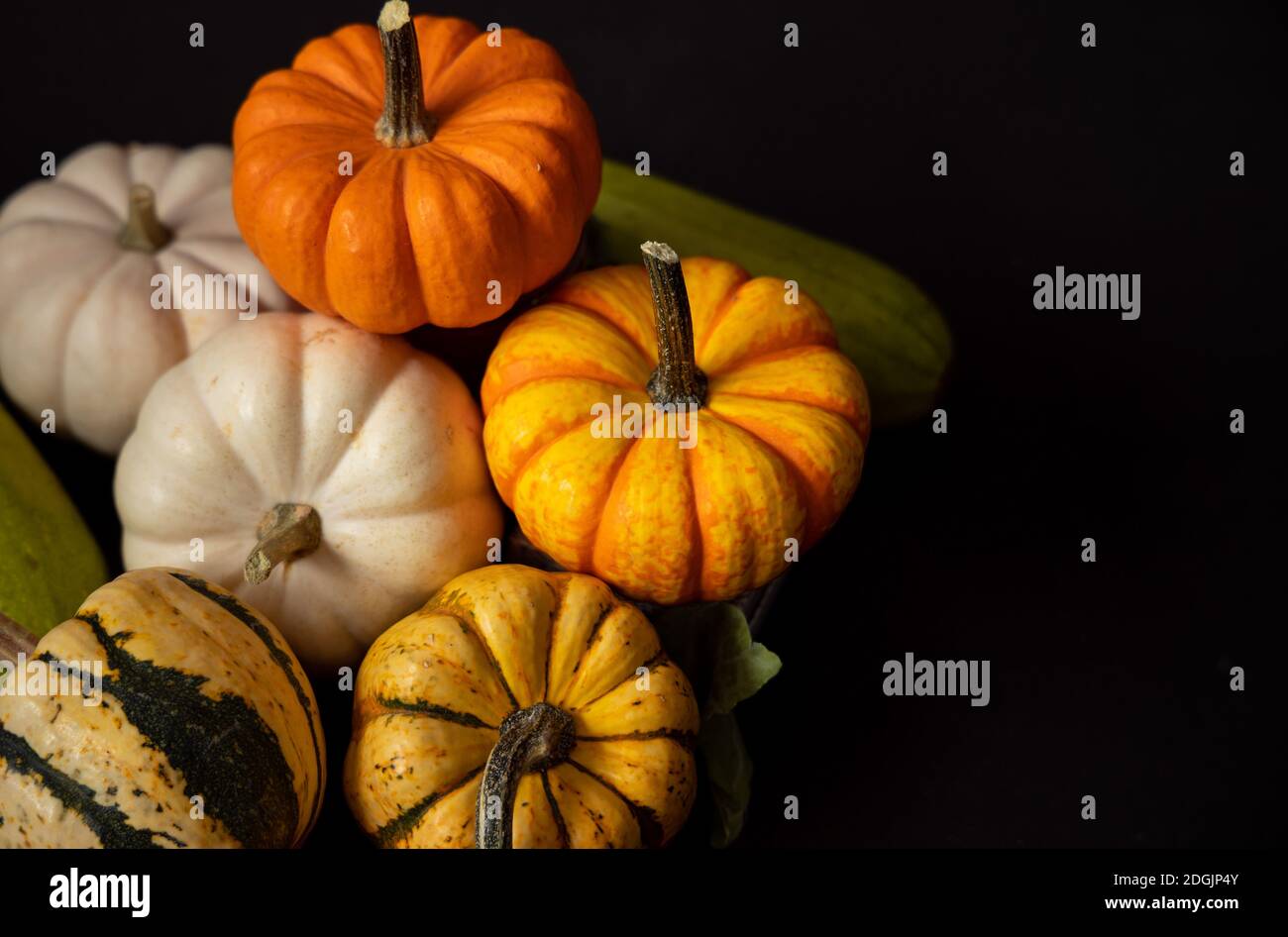 Collection of little mini Pumpkins on black background Stock Photo - Alamy