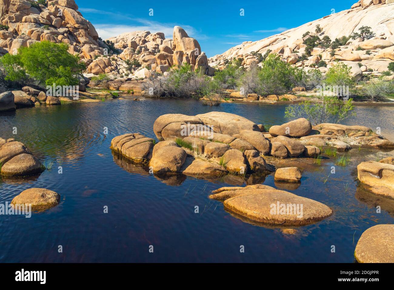 Joshua Tree National Park, California. The wonderland of rocks and ...