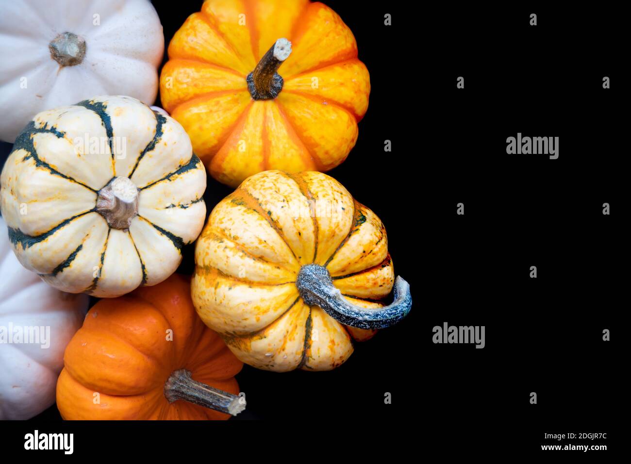Collection of little mini Pumpkins on black background Stock Photo - Alamy