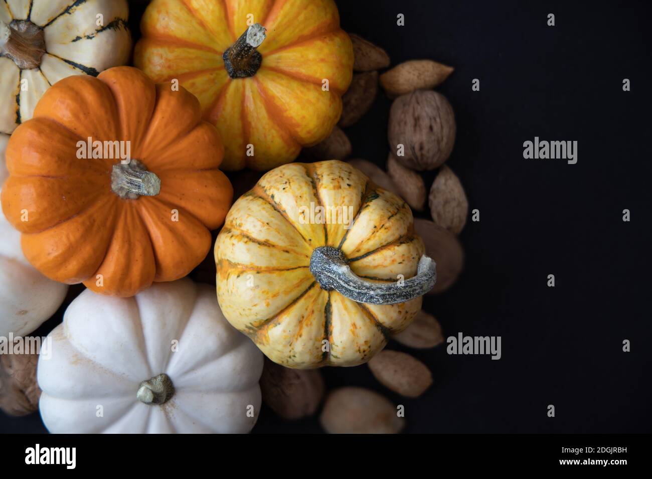 Collection of little mini Pumpkins on black background Stock Photo - Alamy