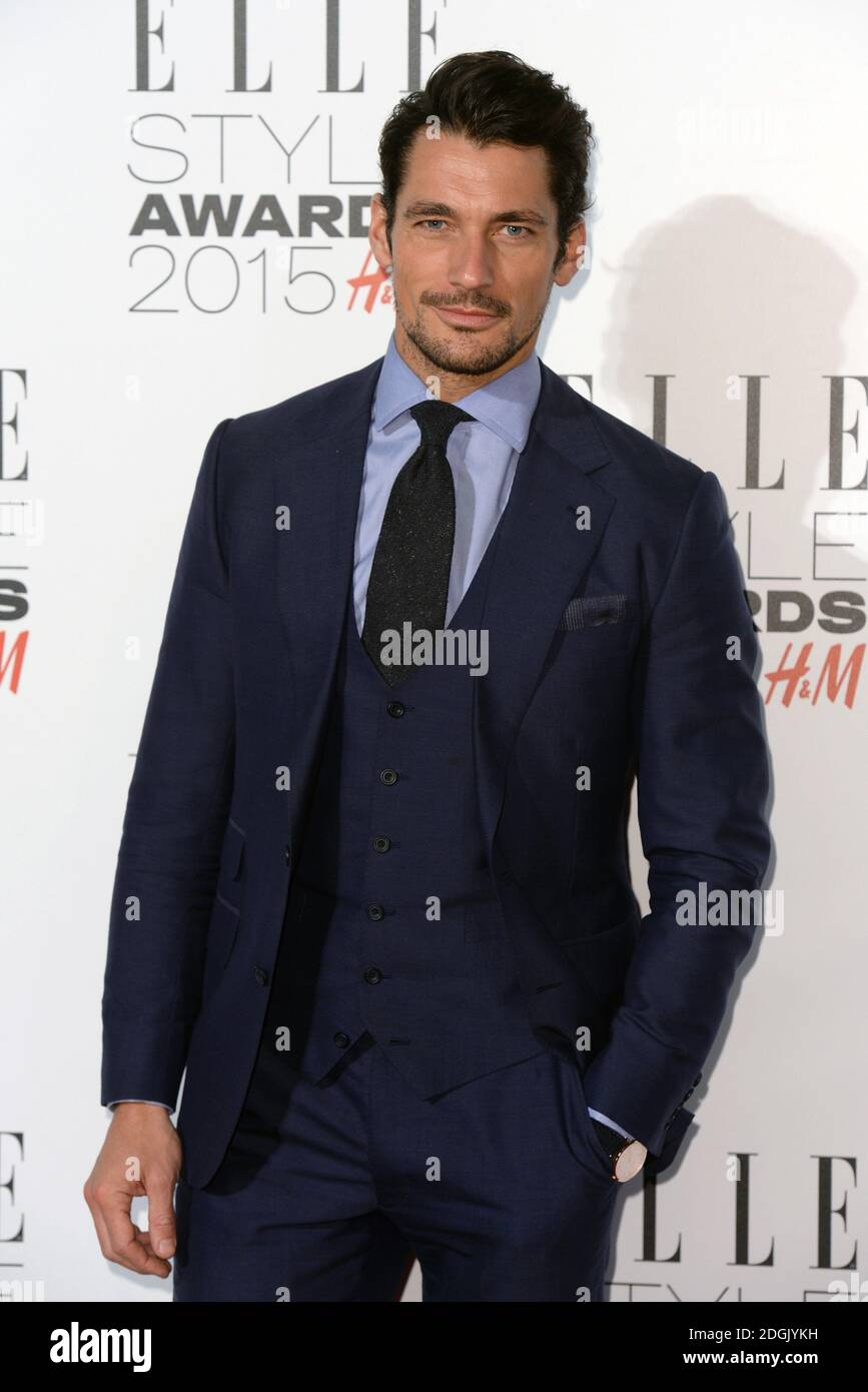 David Gandy attending the Elle Style Awards 2015 held at the Sky Garden ...