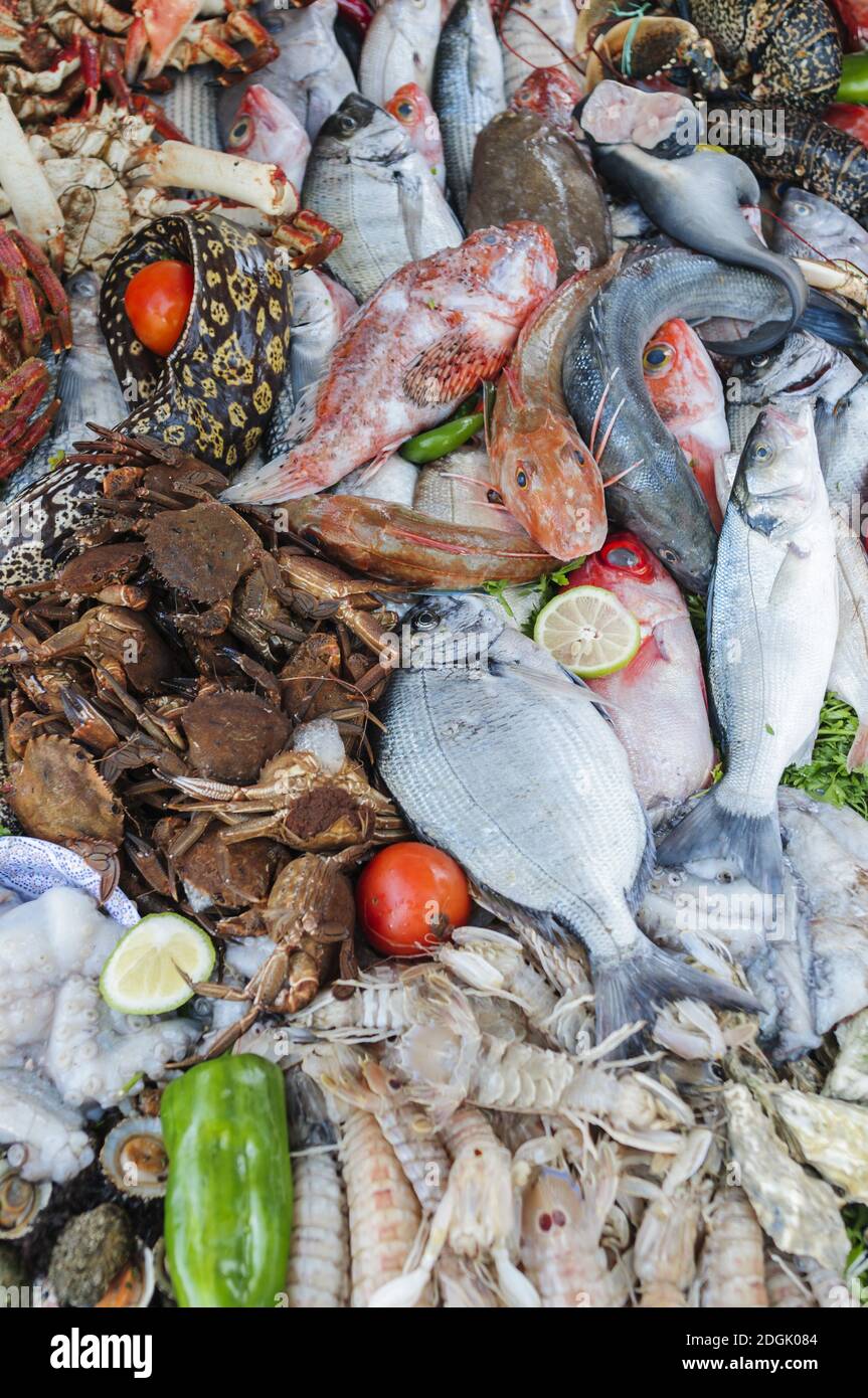 Market stall with fresh fish and seafood Stock Photo - Alamy