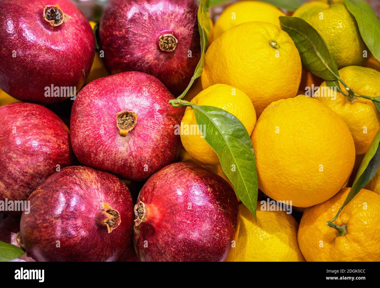 Red, yellow, green Fresh mixed fruits close up, mandarin orange and ...