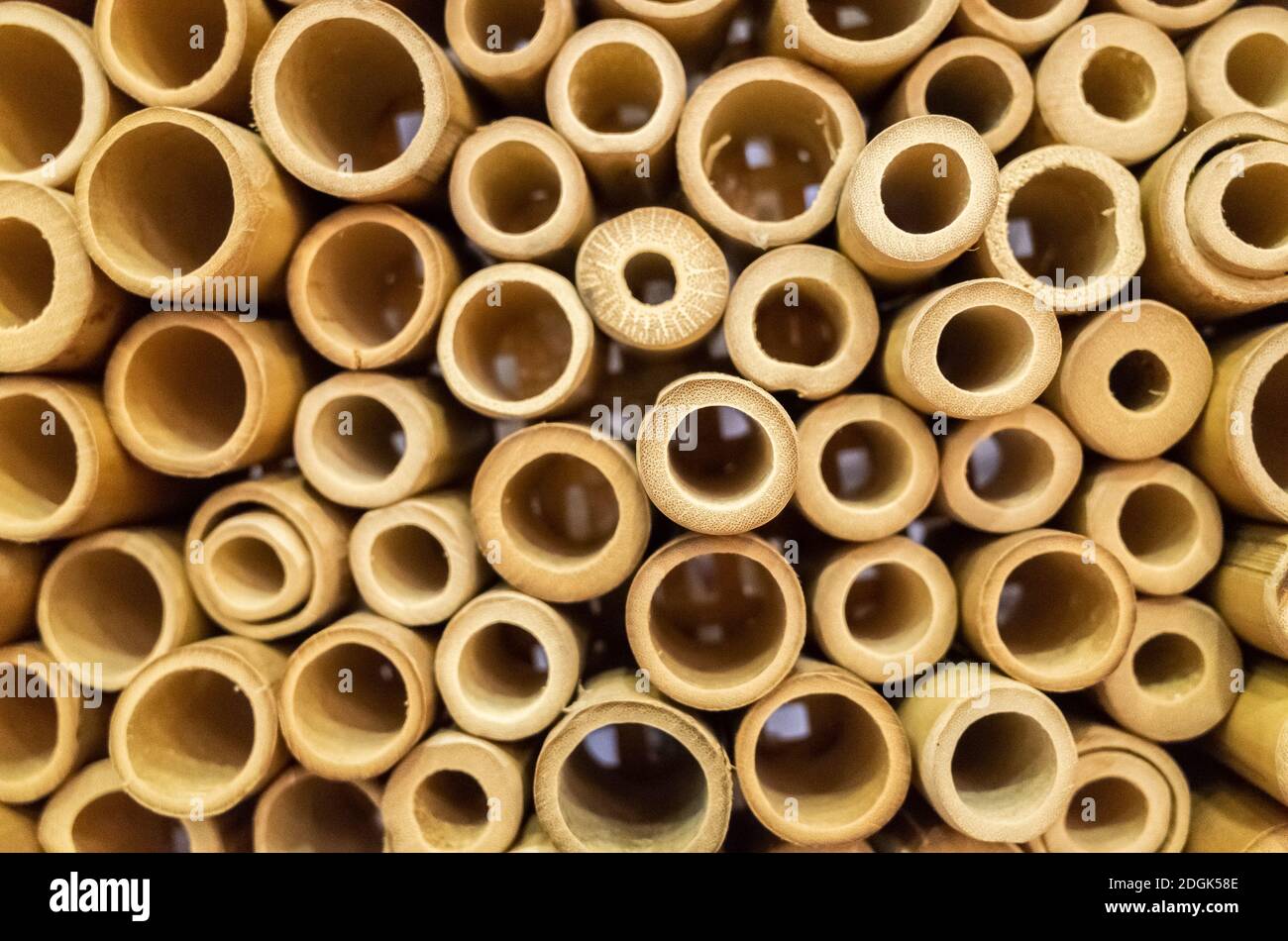 Yellow bamboo craft background Stock Photo - Alamy