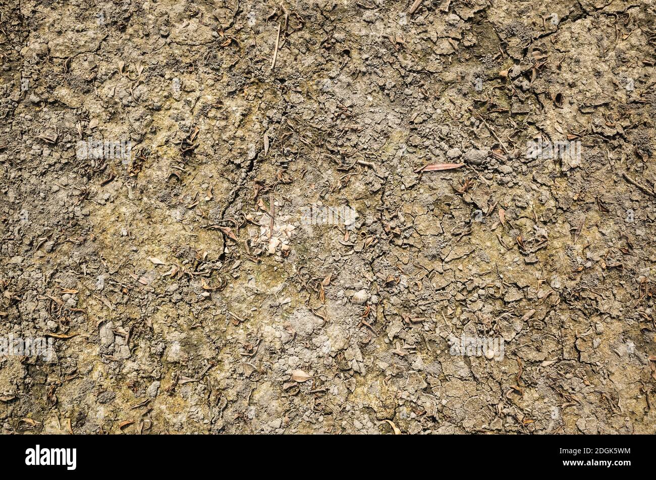 Nature dry hi-res stock photography and images - Alamy