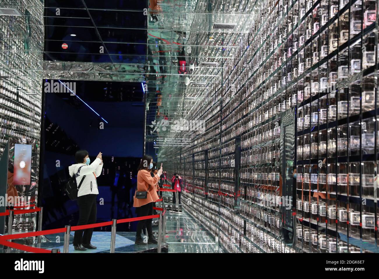 People observe the seeds preserved and presented at the "Seed Bank ...