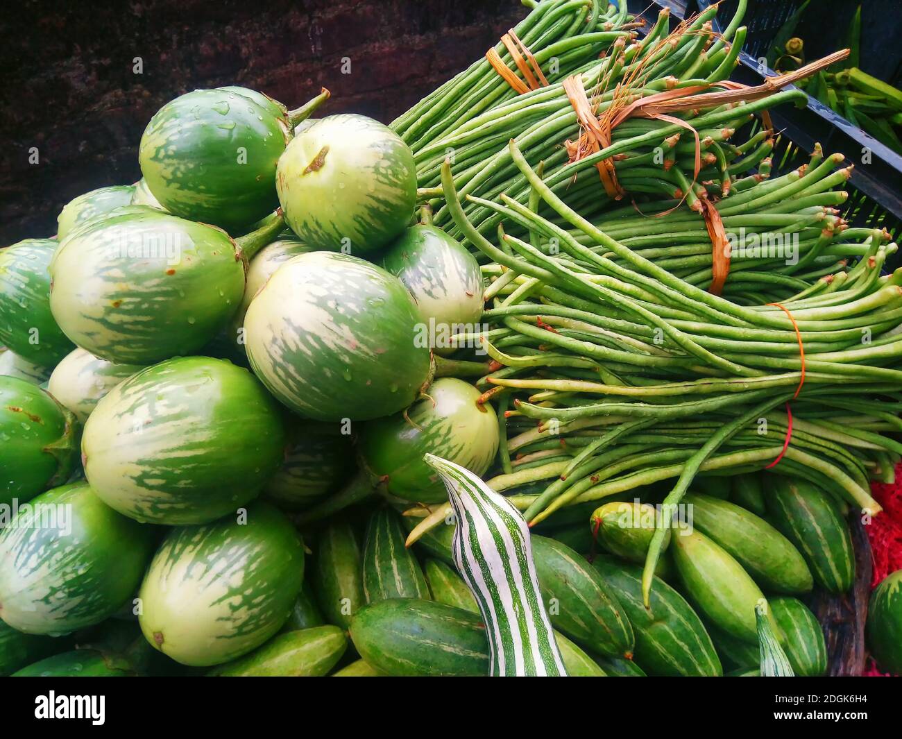 Indian Vegetables Eggplant Aubergine Brinjal High Resolution Stock ...