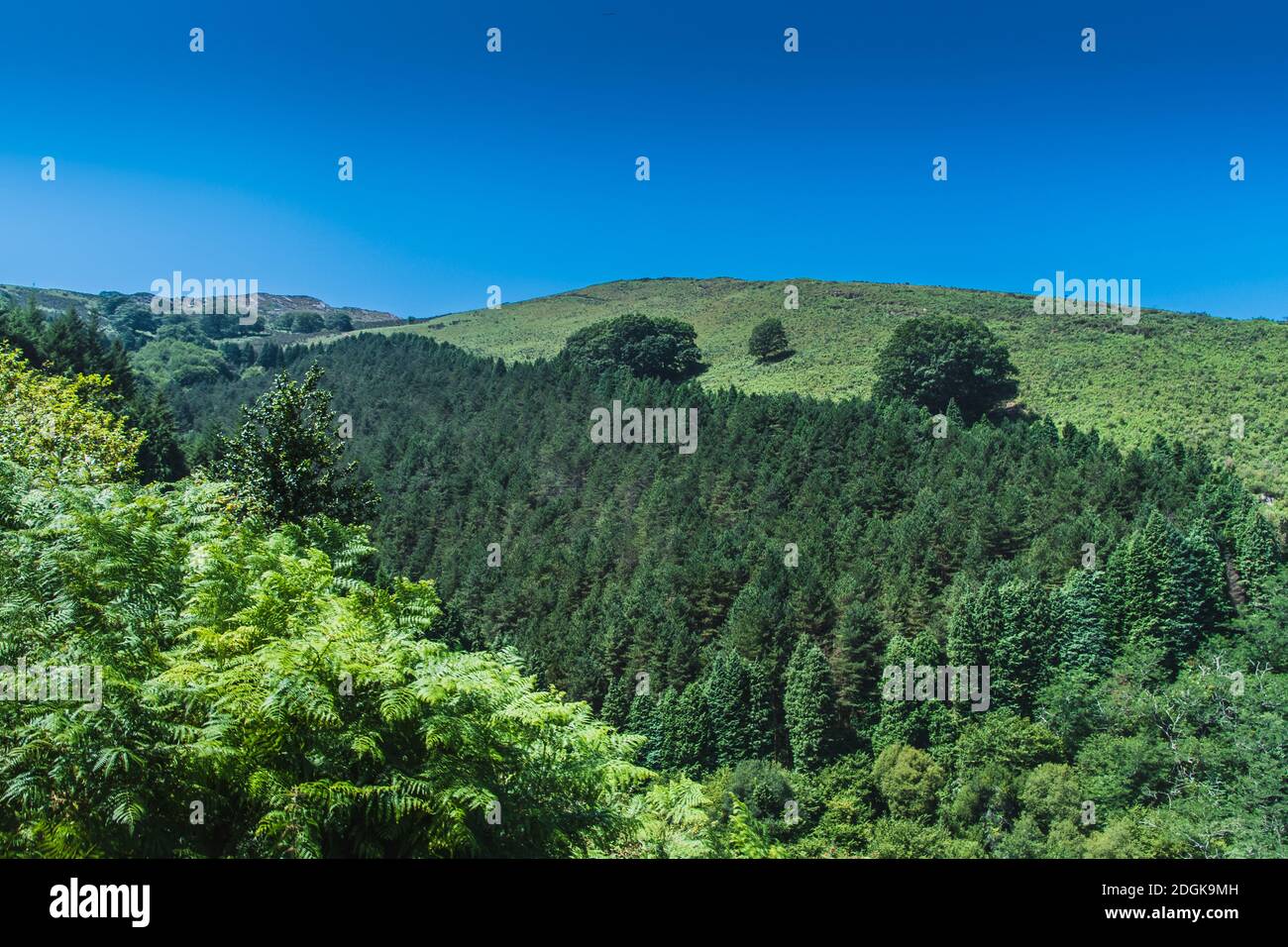 The Rhune mountain in the Pyrenees-Atlantique Stock Photo - Alamy