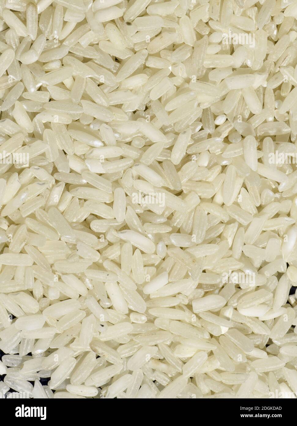 Rice closeup photos.White rice. rice wallpaper Stock Photo - Alamy