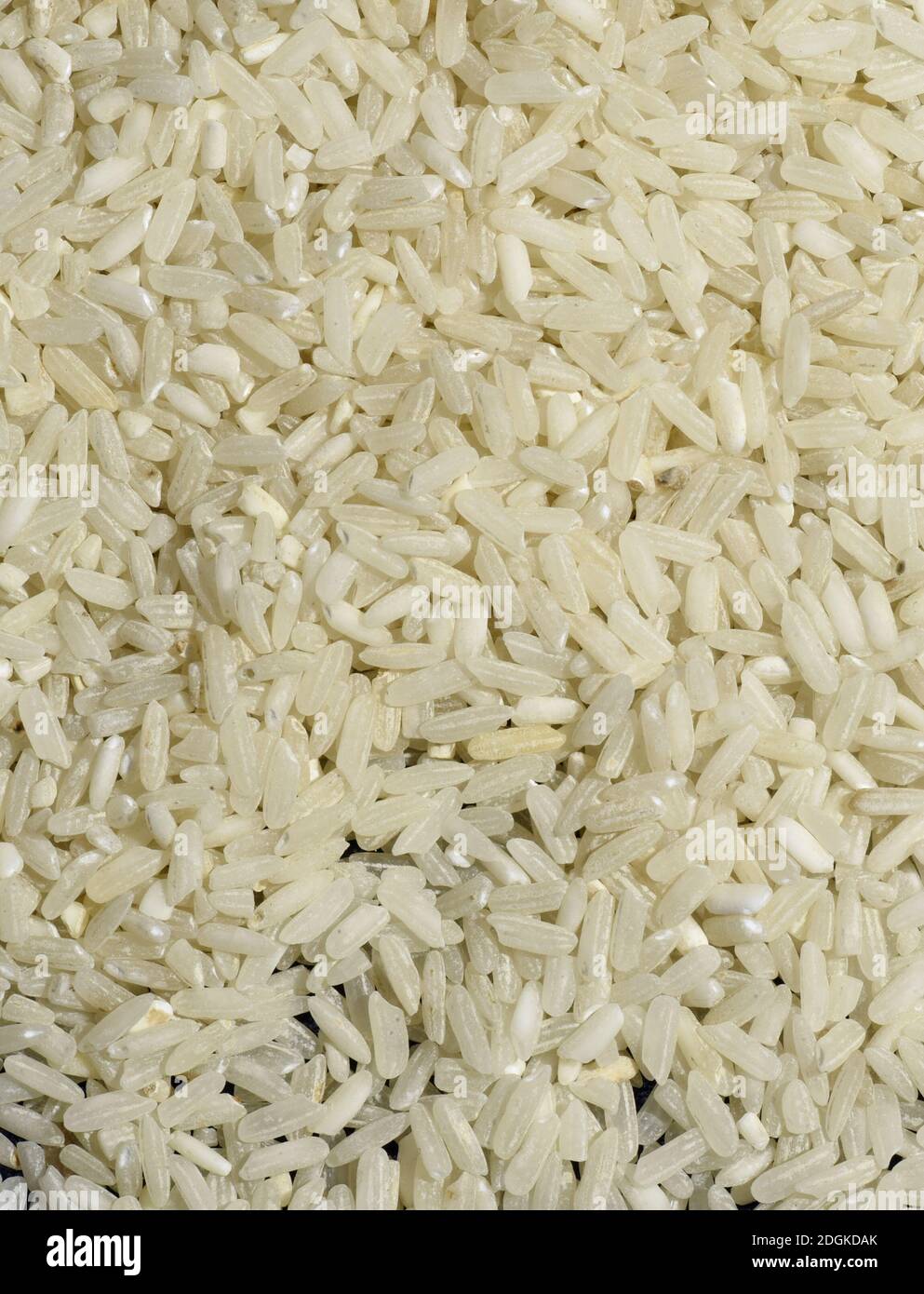 Rice closeup photos.White rice. rice wallpaper Stock Photo - Alamy