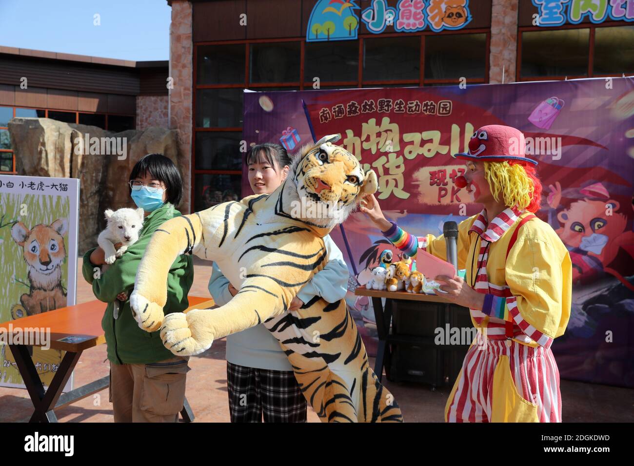 A zoo uses three groups of animal anchors to sell animal dolls ...
