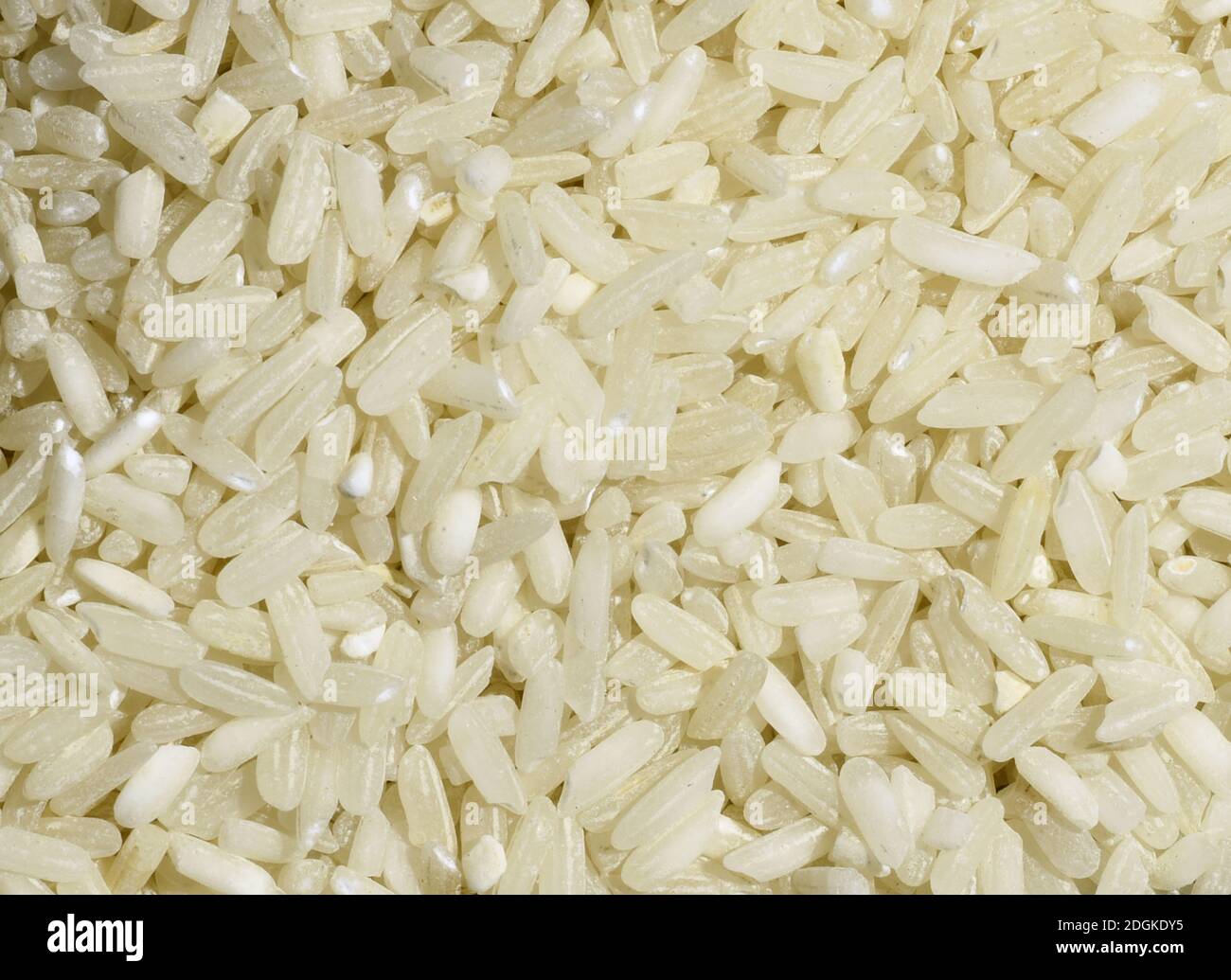 Rice closeup photos.White rice. rice wallpaper Stock Photo - Alamy