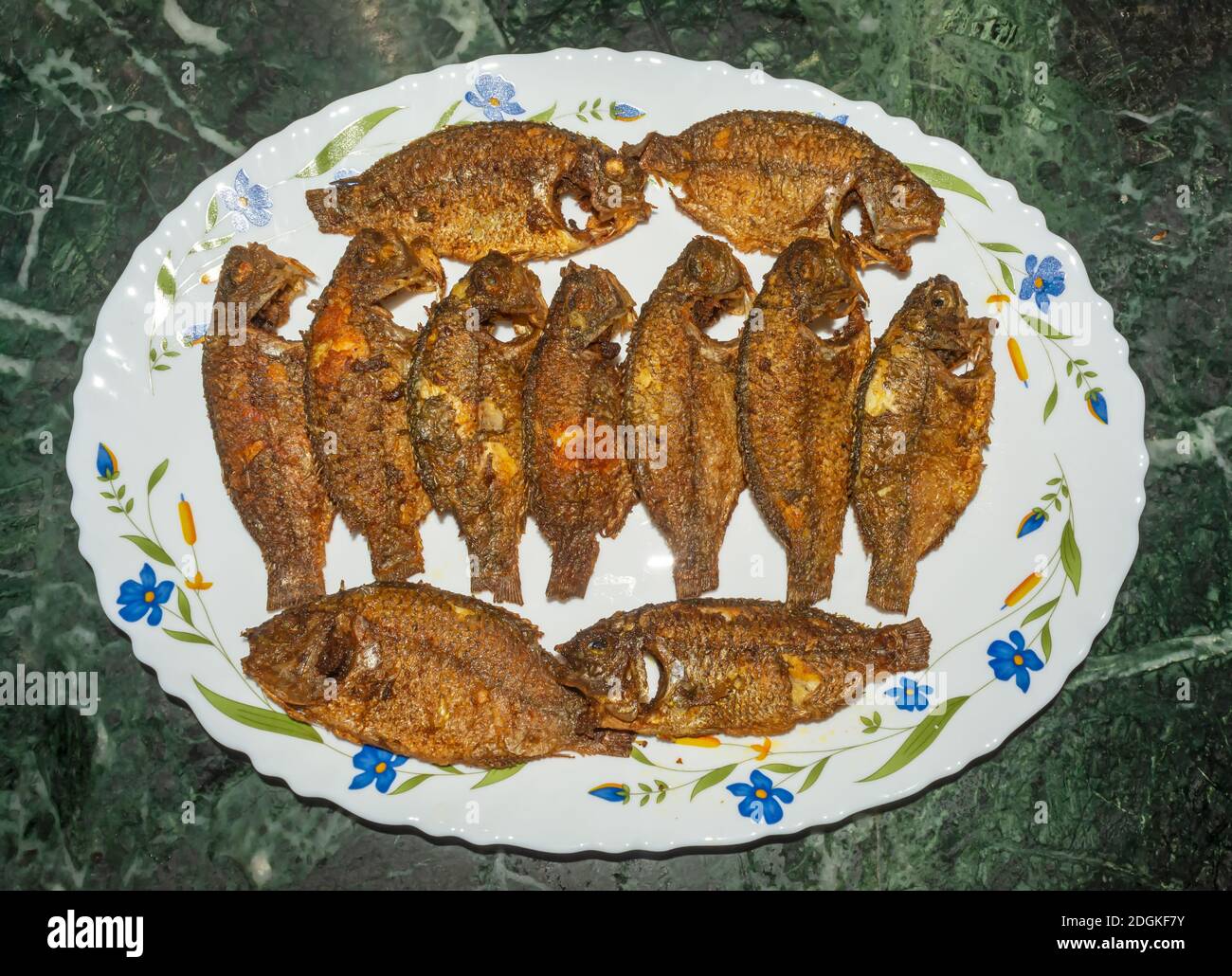 Tilapia Fry High Resolution Stock Photography and Images - Alamy