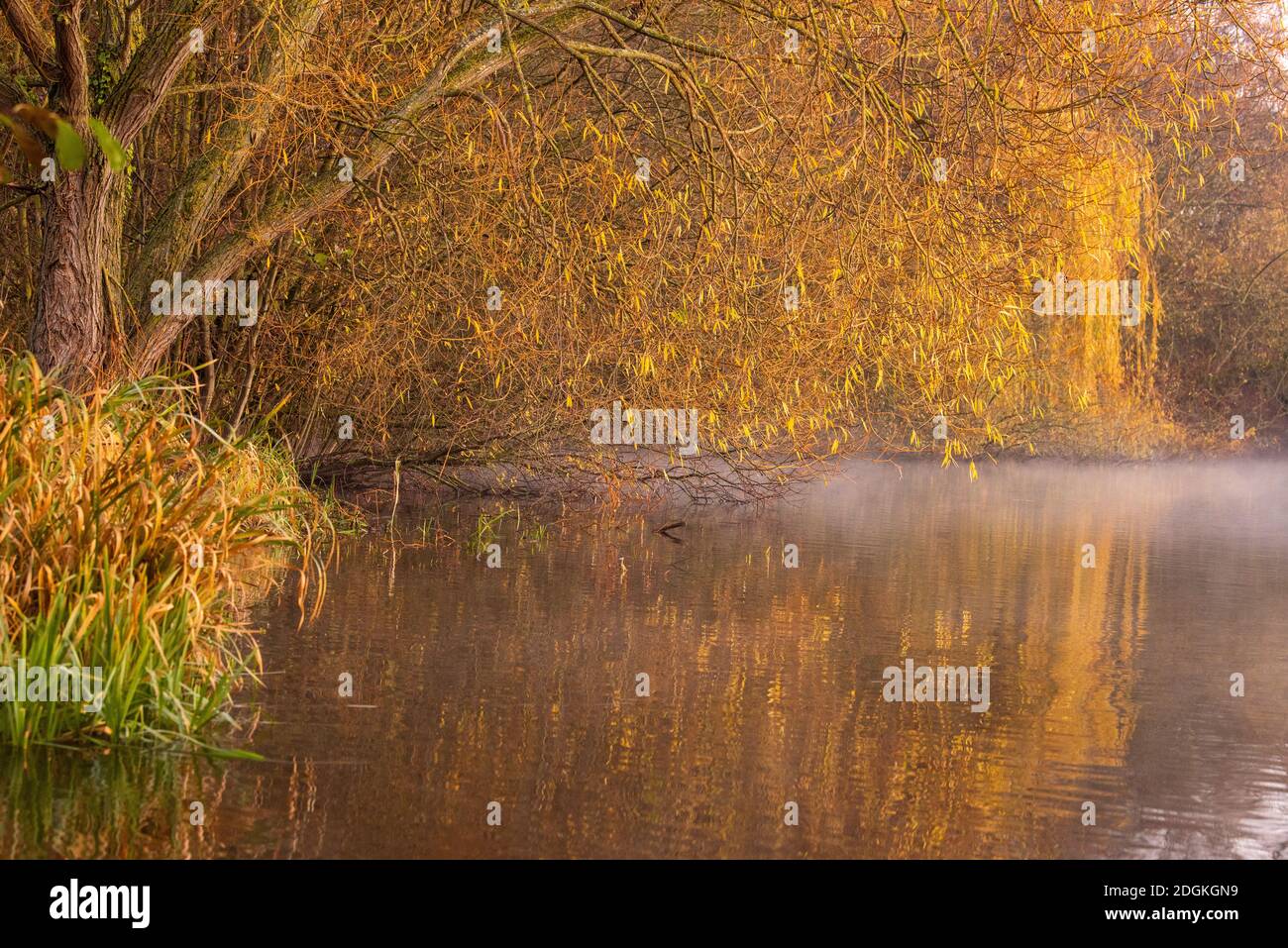 Winter sunrise at Colwick Park, Nottingham Nottinghamshire England UK ...