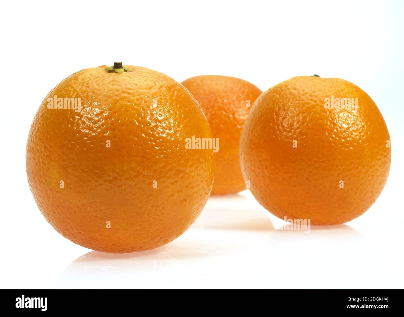 Orange, citrus sinensis, Fruits against White Background Stock Photo ...