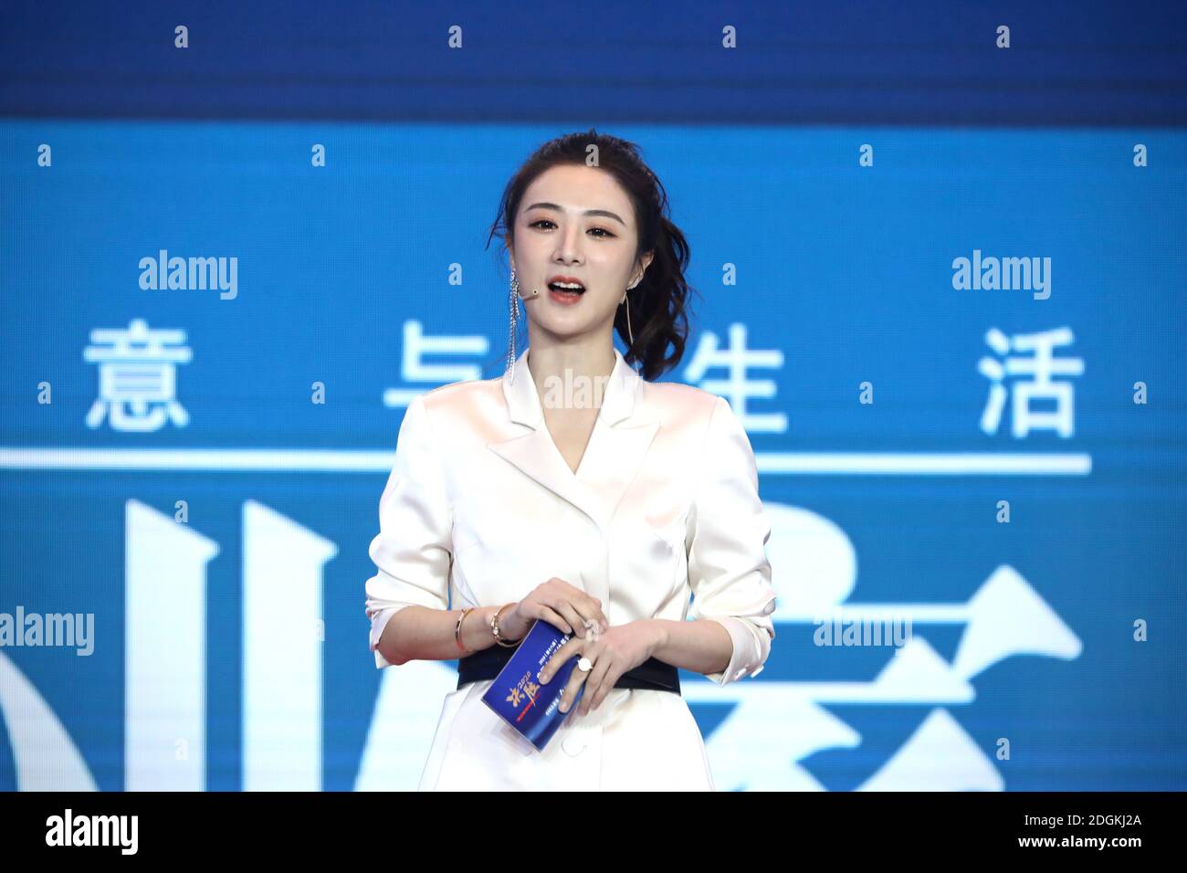 --File--Wei Ya or Weiya, the first anchor of Taobao and China's top ...