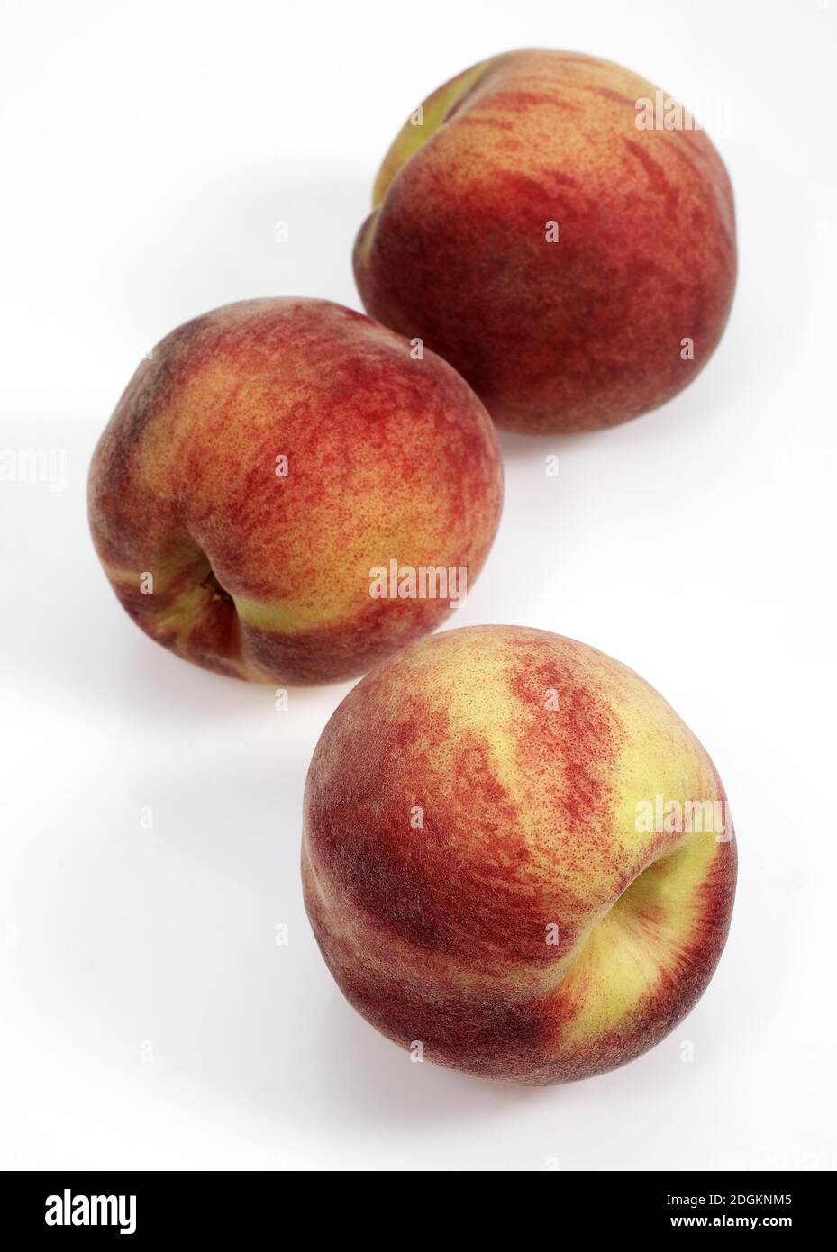 Whyte Peach, persica vulgaris, Fruits against White Background Stock ...