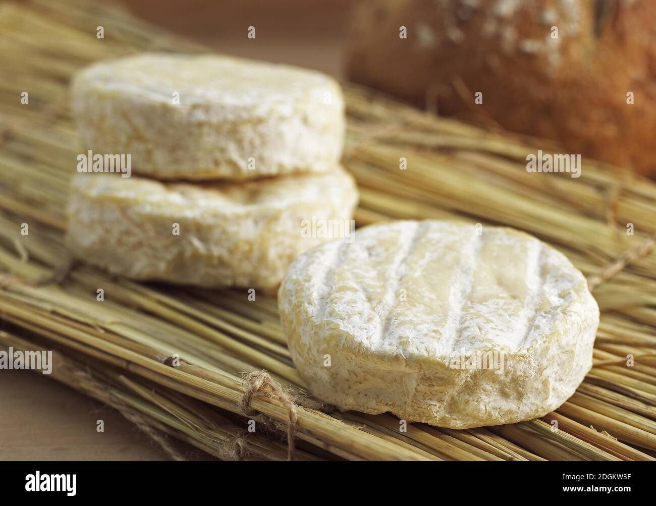 French Cheese Called Saint Marcelin, Cheese produced from Cow's Milk ...