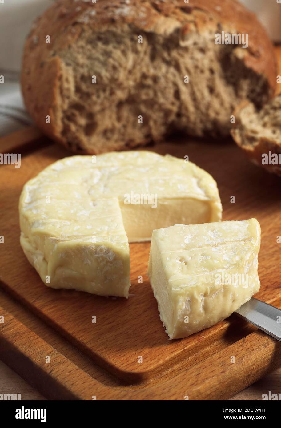 French Cheese Called Saint Marcelin, Cheese produced from Cow's Milk ...