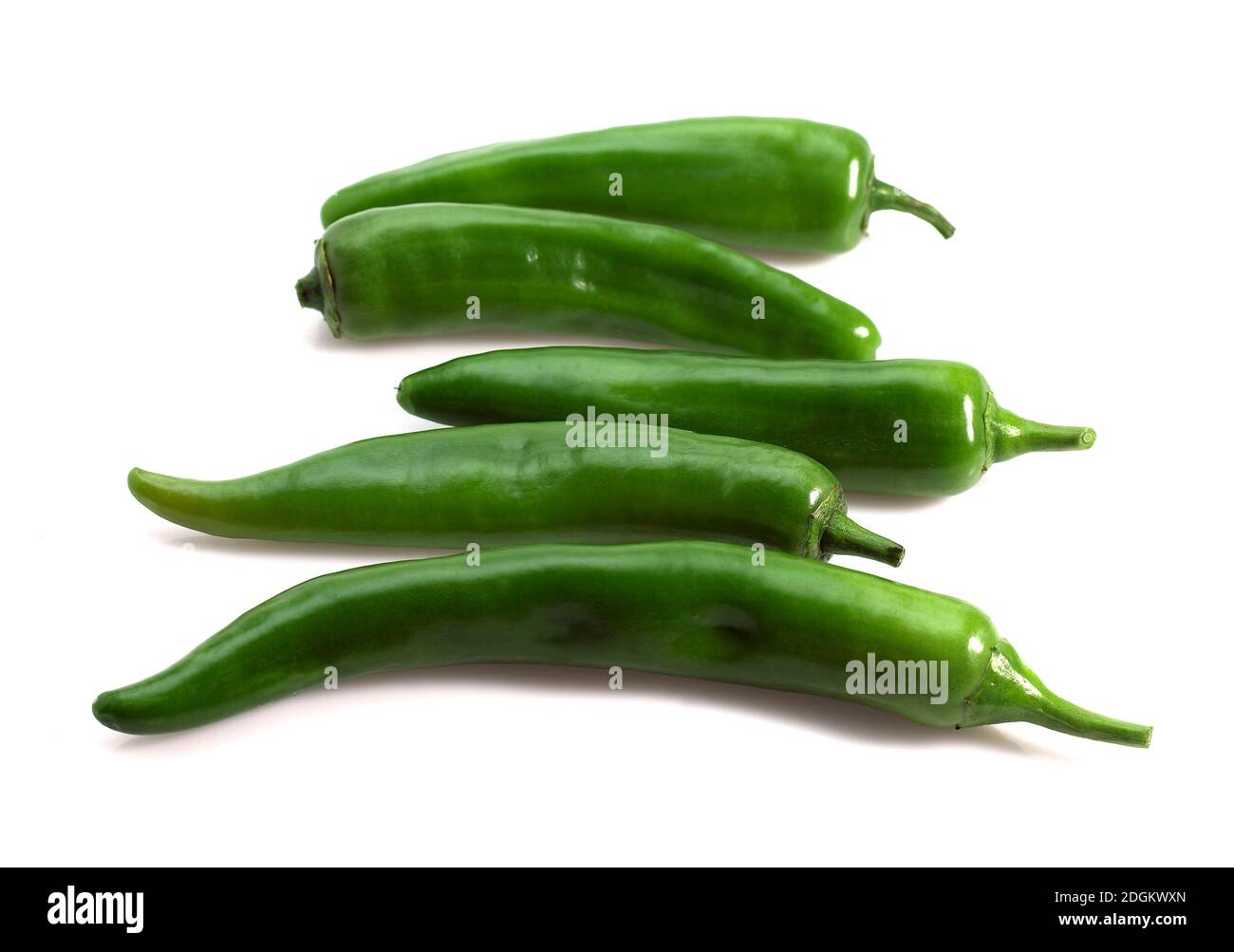 Green Chili Pepper, capsicum annuum Stock Photo - Alamy
