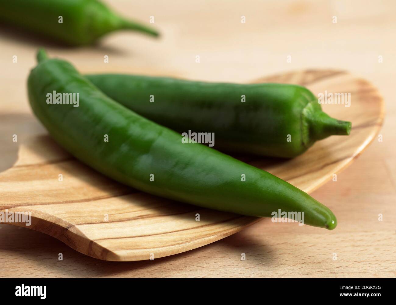 Green Chili Pepper, capsicum annuum Stock Photo - Alamy