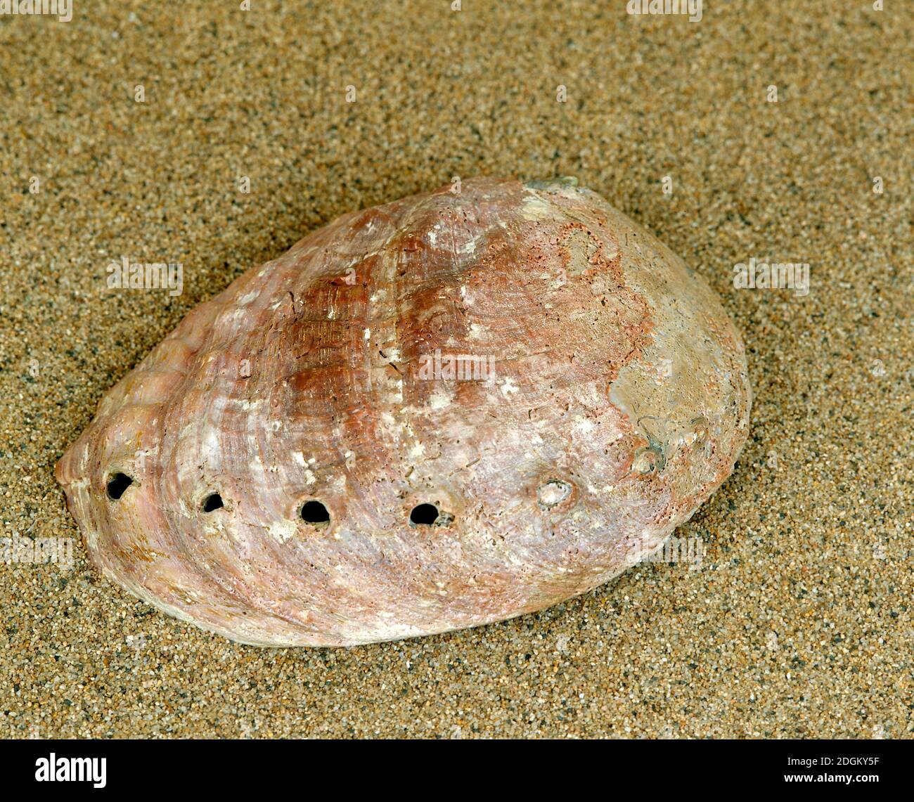 Orear hi-res stock photography and images - Alamy