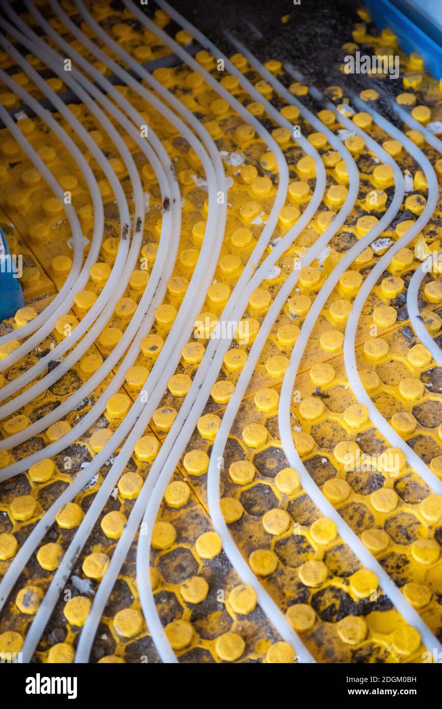 Yellow underfloor heating installation with white pipes Stock Photo - Alamy