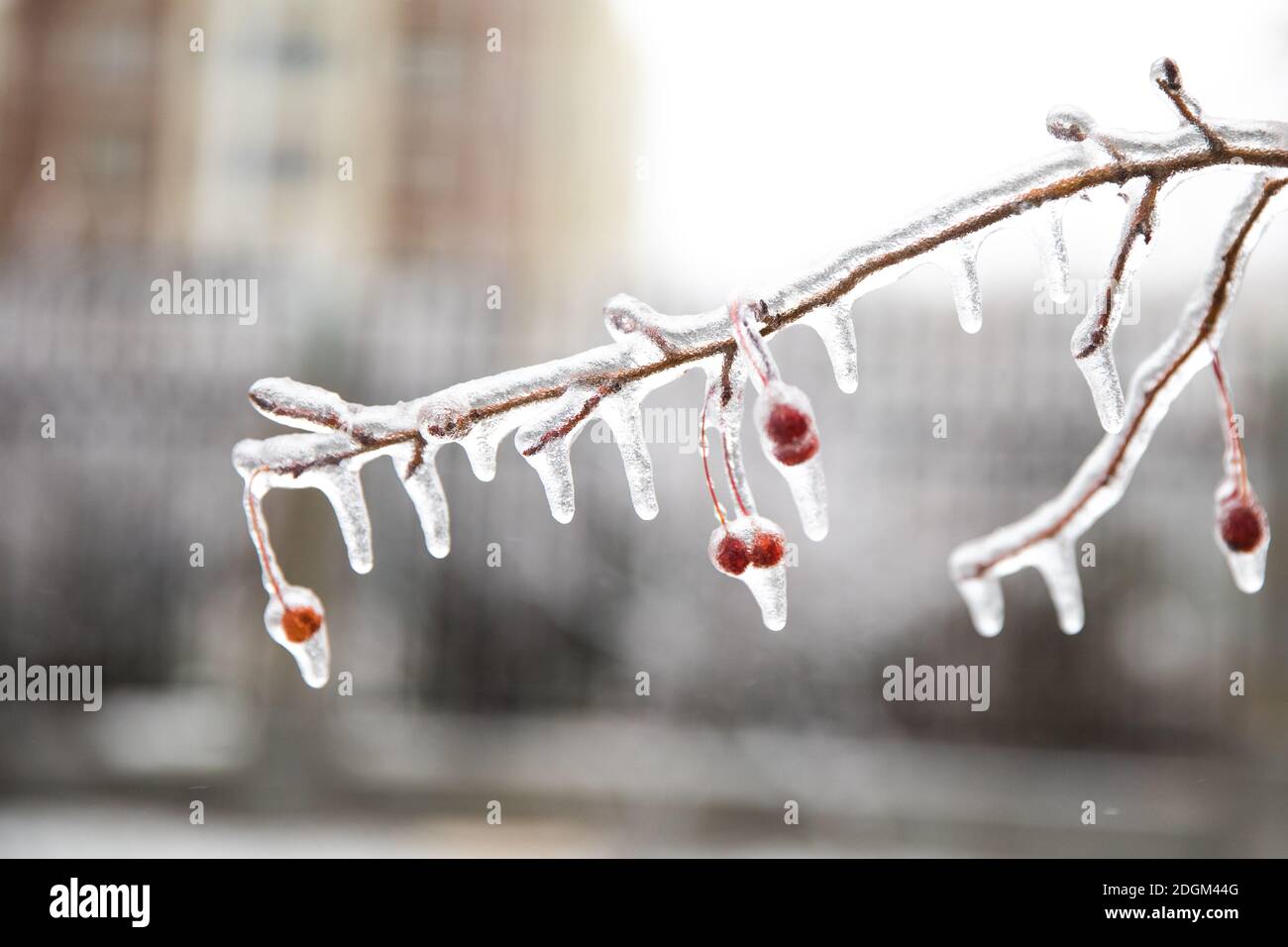 Changchun city encounters extreme weather with rain and snow cooling ...
