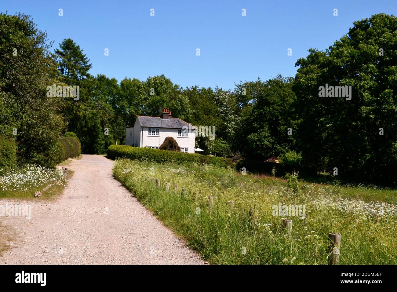 House beside the wild flower meadow at Downley Common, High Wycombe ...