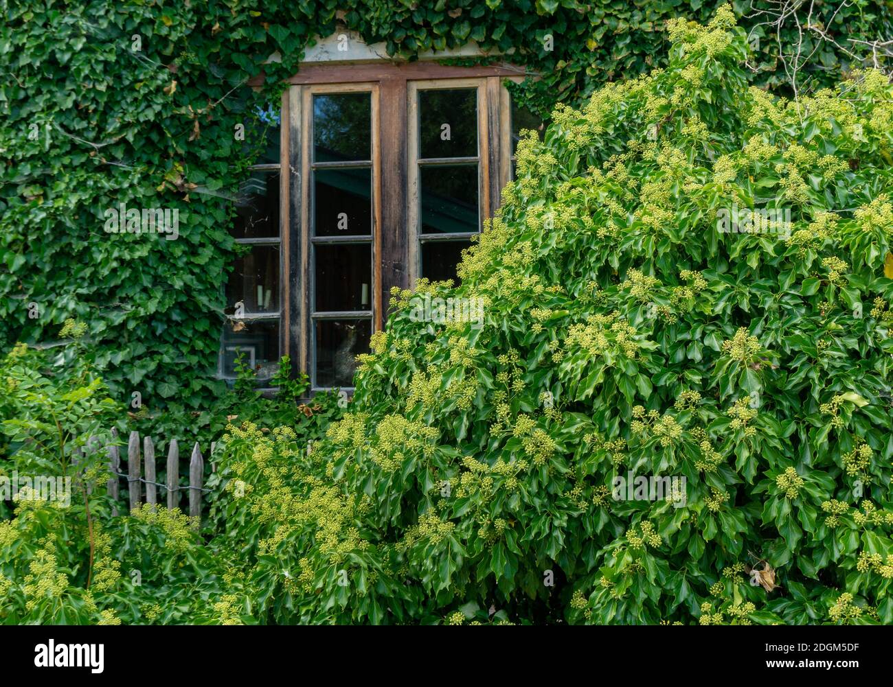 Window at the garden house Stock Photo - Alamy