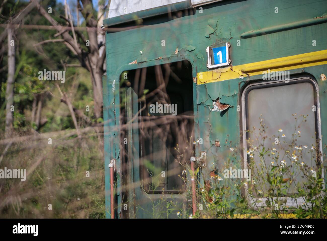 There are piles of abandoned green-skinned trains on the train ...